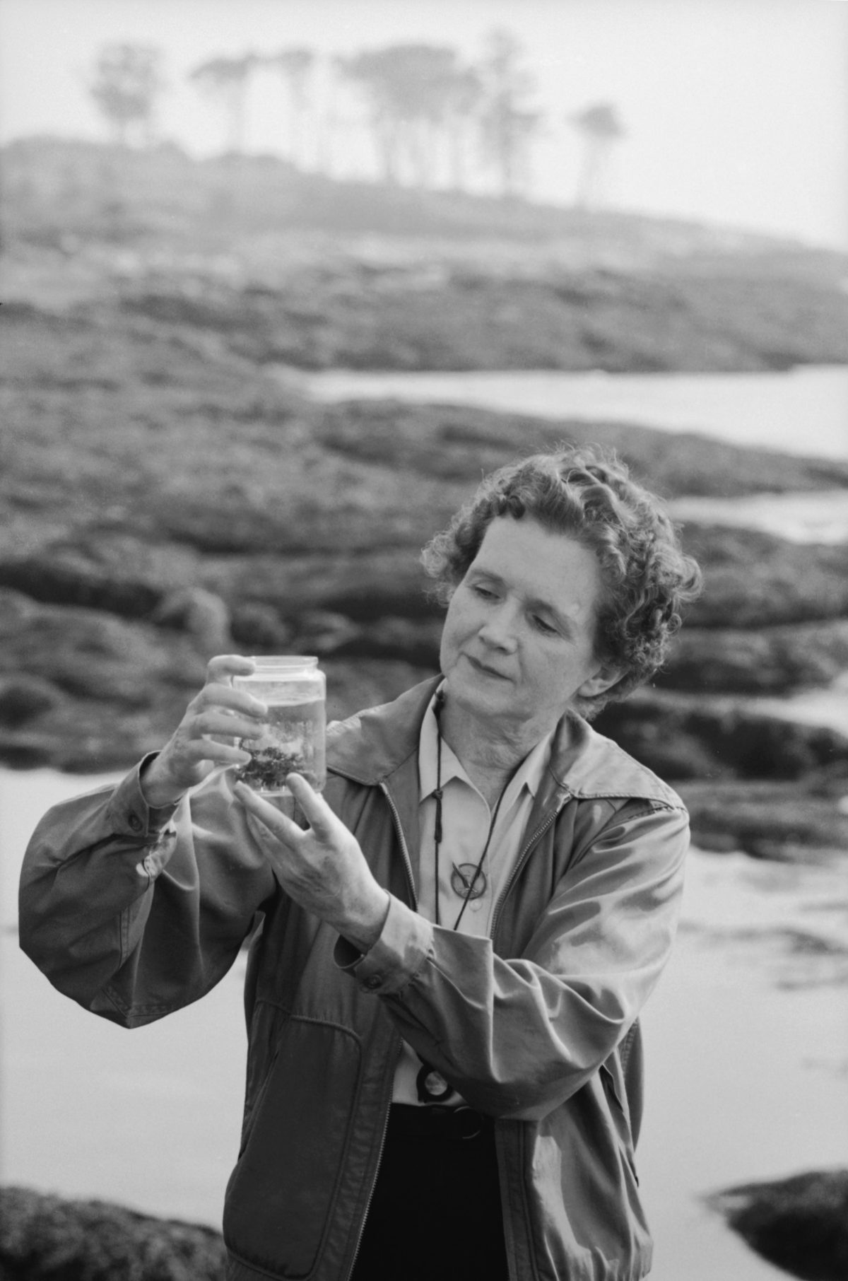 Getting to know Rachel Carson: best-selling author, scientist ...